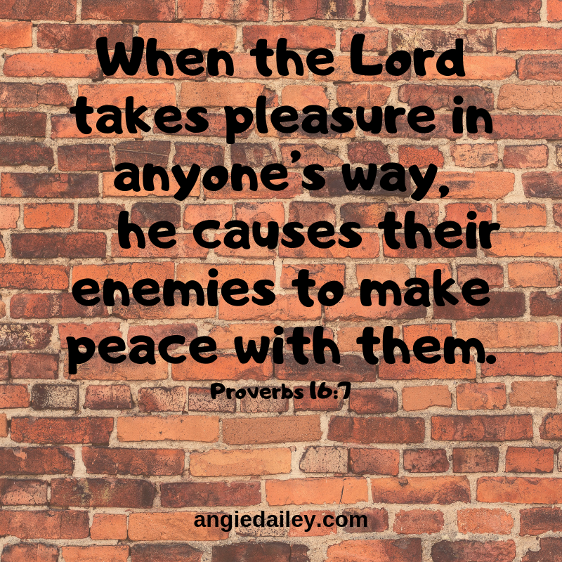 Proverbs 16:7 – Metamorphosis
