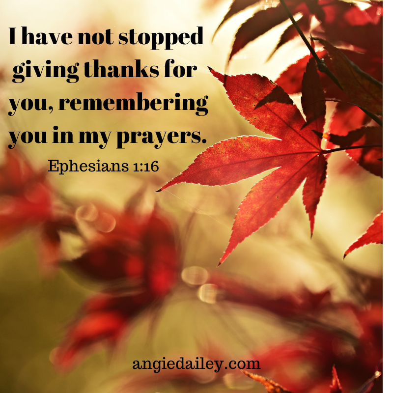 Ephesians 1:16 – Metamorphosis